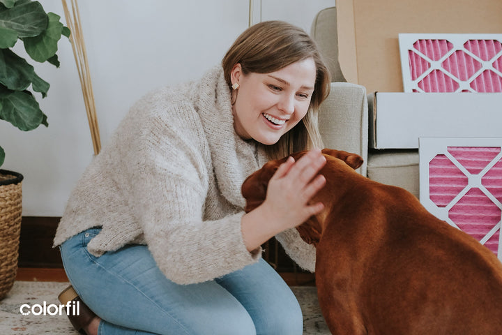 Colorfil Air Filters | Breathe Healthy. Live Happy.