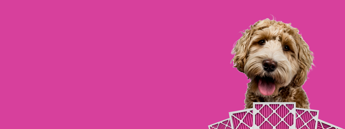 Colorfil Air Filters | Breathe Healthy. Live Happy.