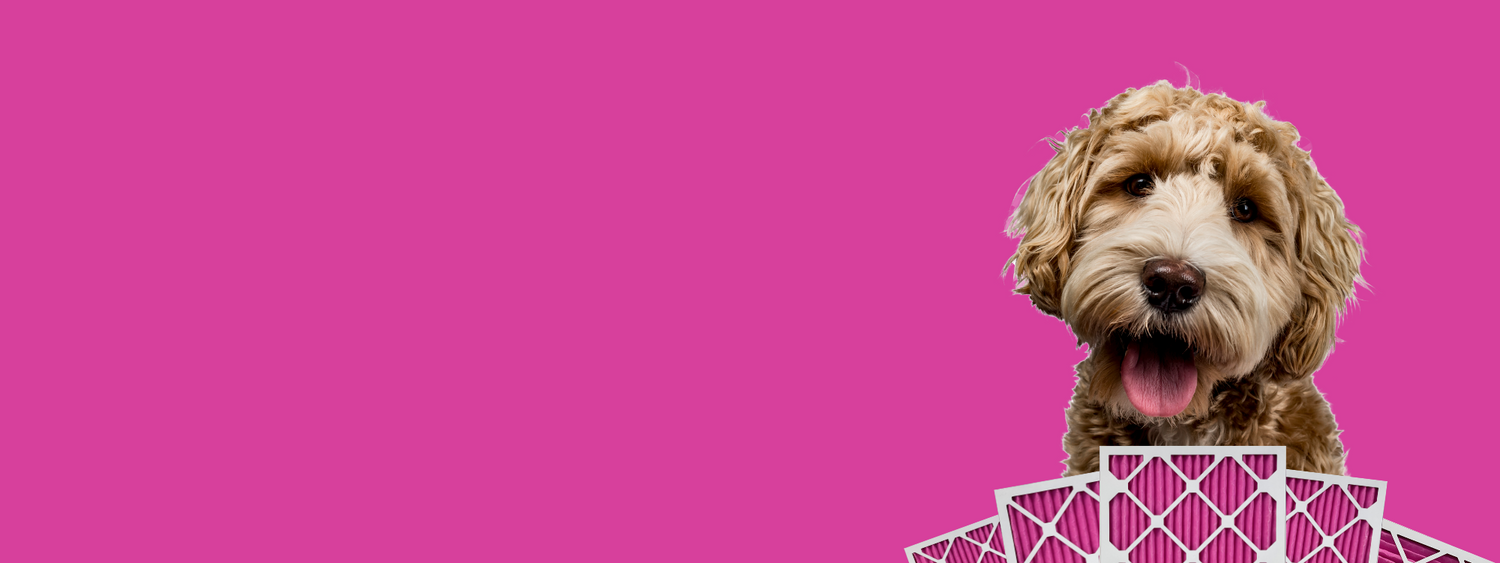 Colorfil Air Filters | Breathe Healthy. Live Happy.