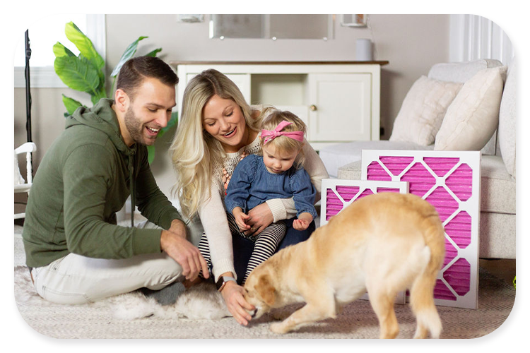 Colorfil Air Filters | Breathe Healthy. Live Happy.