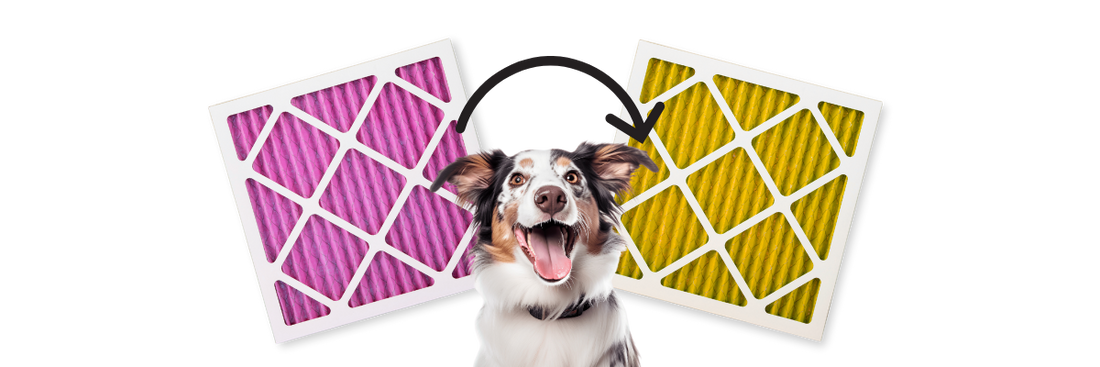 Colorfil Air Filters | Breathe Healthy. Live Happy.