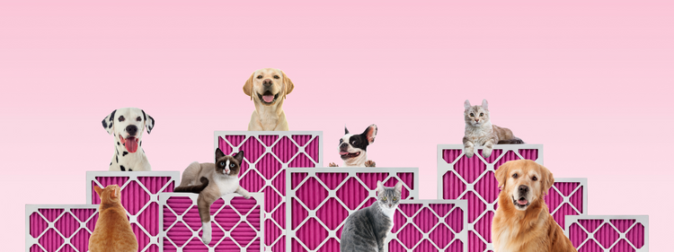 Products – Colorfil